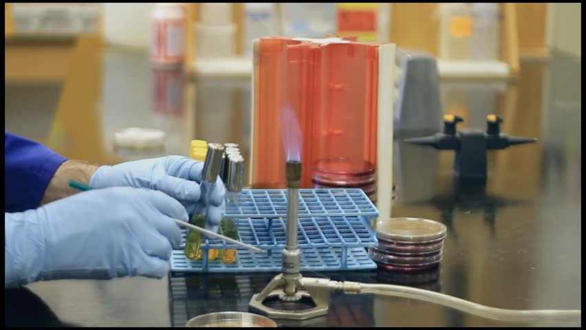 flaming tube microbiology laboratory Stock Footage Video (100% Royalty ...