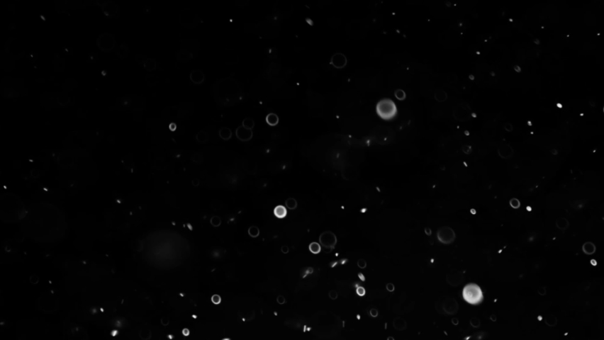 animated dust particles big size background Stock Footage Video (100% ...