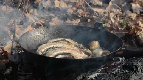 Cooking Fish Over Fire Stock Footage Video (100% Royalty-free ...