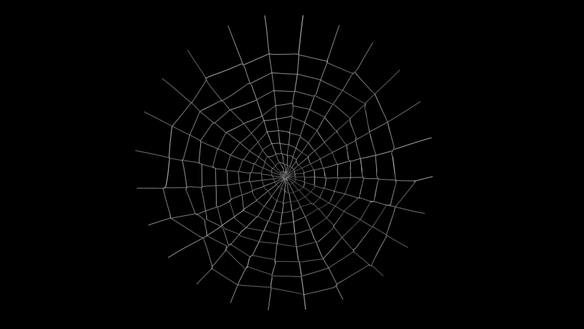 spider web animation alpha channel Stock Footage Video (100% Royalty ...