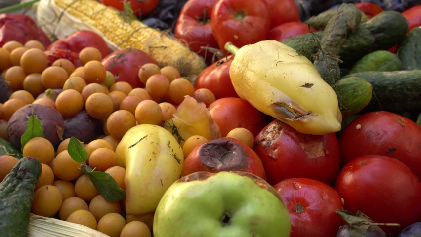 spoiled fruits vegetables food loss waste Stock Footage Video (100% ...