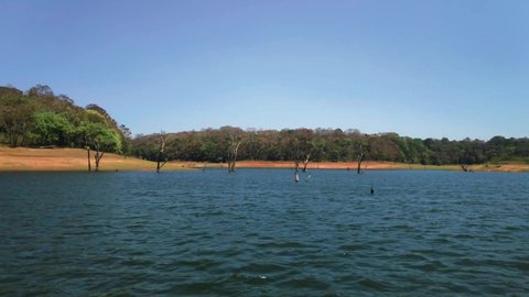 Slow Moving Boat Wild Forest River Stock Footage Video (100% Royalty ...