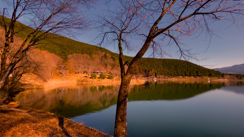 Tanuki Lake Stock Video Footage - 4K and HD Video Clips | Shutterstock