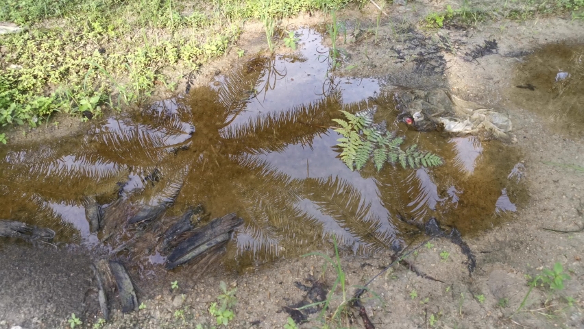 footage stagnant pool rain water on Stock Footage Video (100% Royalty ...