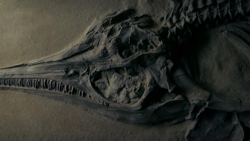 Skeletal Soil Stock Video Footage - 4K and HD Video Clips | Shutterstock