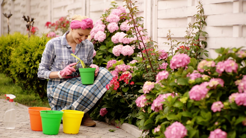 Smiling Woman Dig Flowers in Stock Footage Video (100% Royalty-free ...