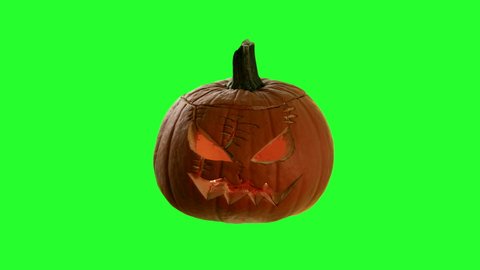 Pumpkin green screen Stock Video Footage - 4K and HD Video Clips ...