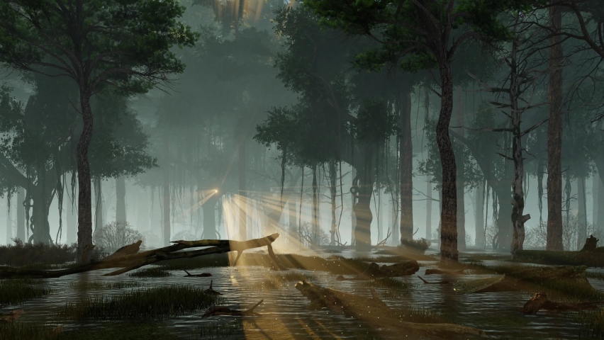 spooky forest swamp supernatural magical firefly Stock Footage Video ...