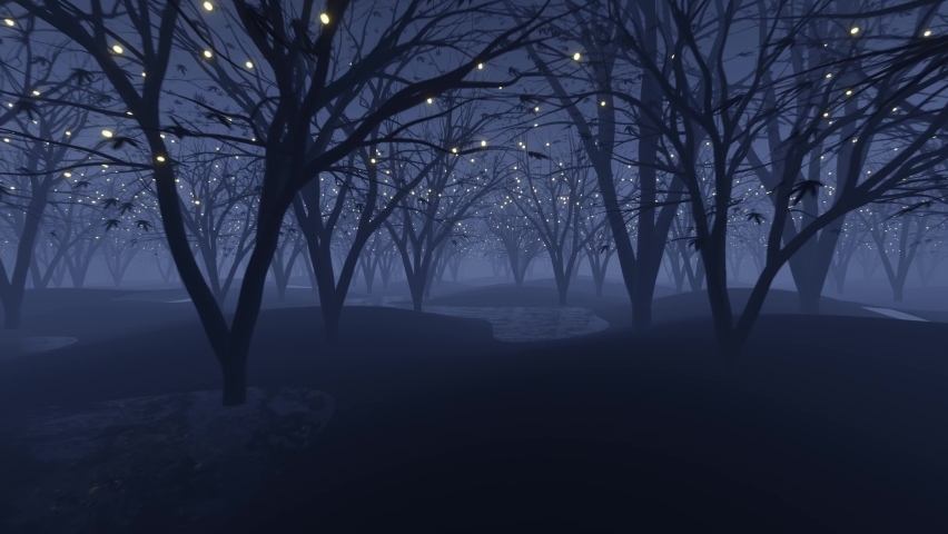 Looping Moving Forward Walking Into Forest Stock Footage Video (100% ...