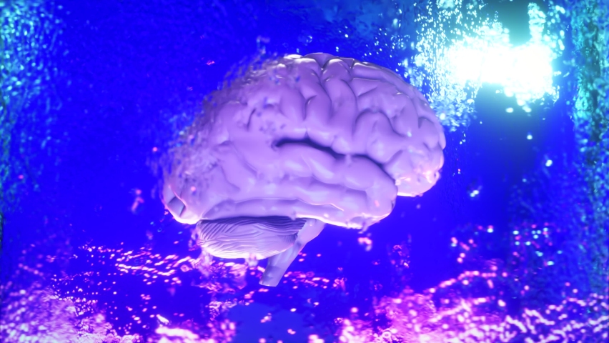 frozen human brain inside spinning ice Stock Footage Video (100% ...