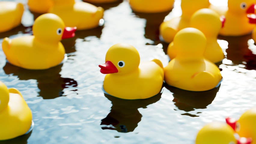 huge amount rubber ducks floating beautiful Stock Footage Video (100% ...