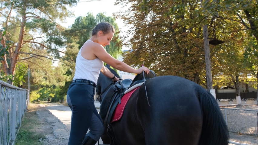 Saddle tractor Stock Video Footage - 4K and HD Video Clips | Shutterstock