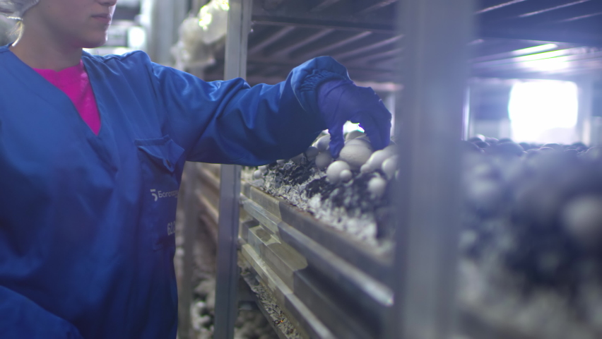 17 Non edible food colors Stock Video Footage - 4K and HD Video Clips ...