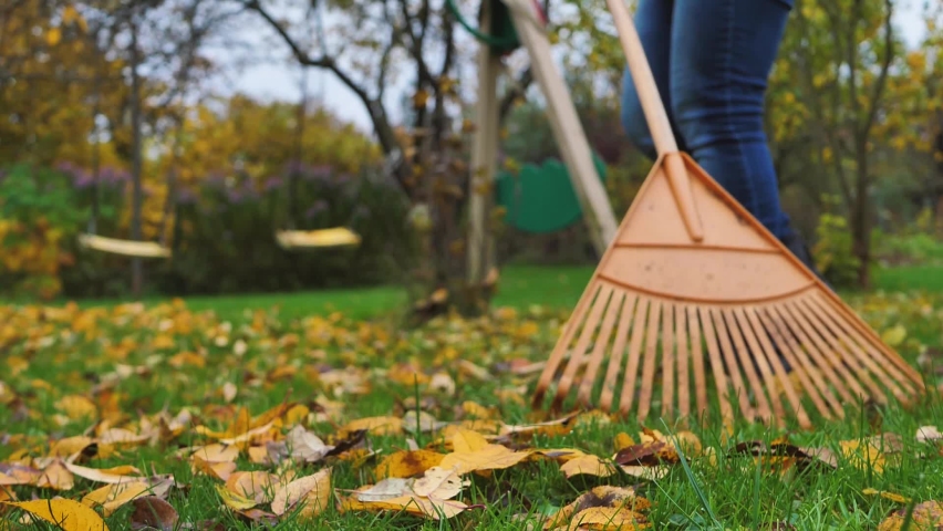Autumn leaves rake Stock Video Footage - 4K and HD Video Clips ...