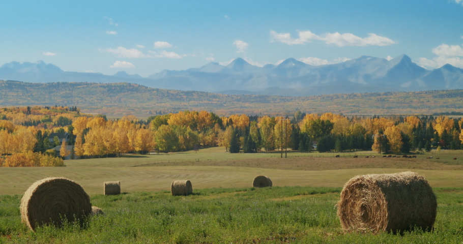 Calgary Farm Stock Video Footage - 4K and HD Video Clips | Shutterstock