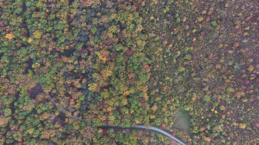 bird's eye view dirt road winding Stock Footage Video (100% Royalty ...