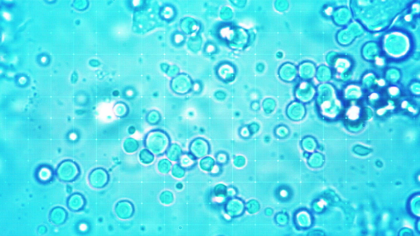 amoeba moving through microscopic lightings by Stock Footage Video (100 ...