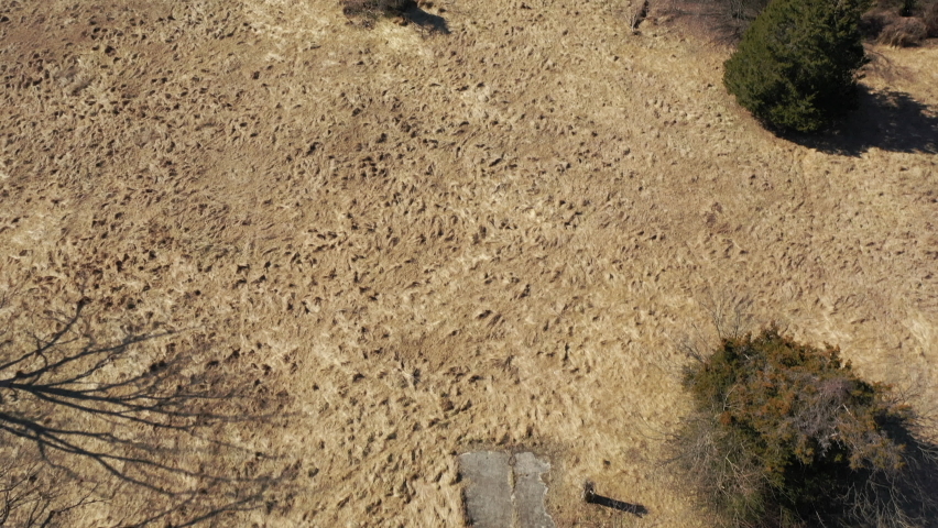 aerial shot over dry grass field Stock Footage Video (100% Royalty-free ...