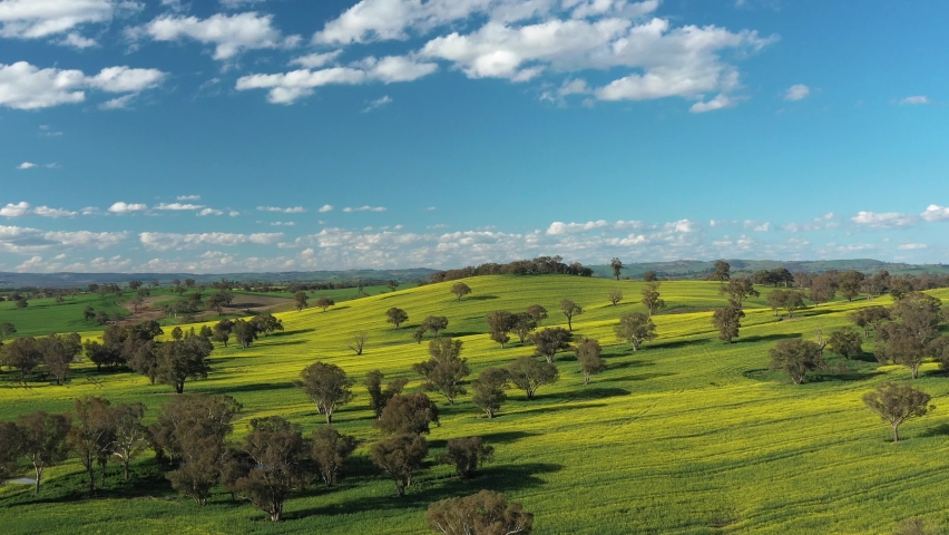 cowra australia - circa 2020 excellent Stock Footage Video (100% ...