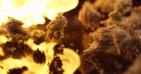 Cannabis Buds Falling Fire Flames On Stock Footage Video (100% Royalty ...