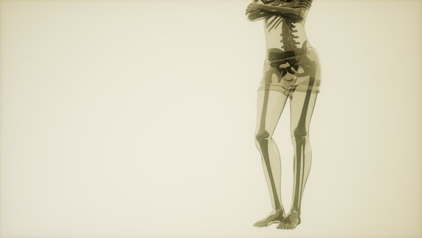 Human Body Skeleton Broken Stock Video Footage - 4K and HD Video Clips ...