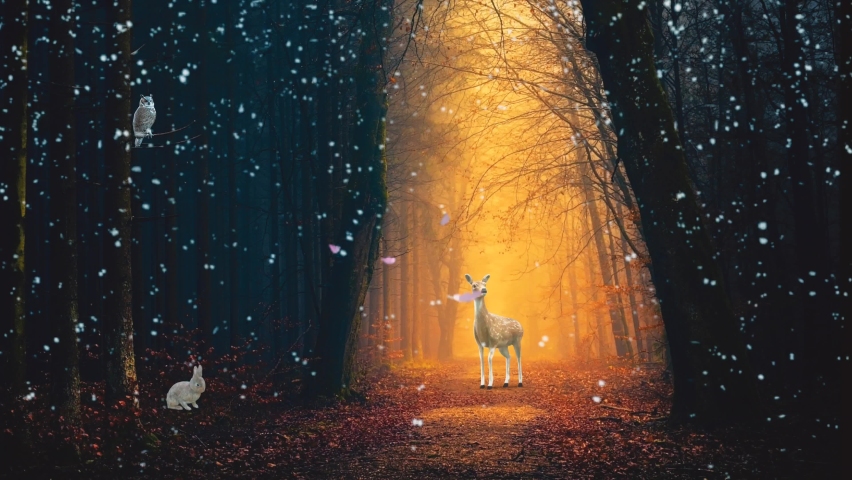 jungle animals forest wildlife winter snowfall Stock Footage Video (100 ...