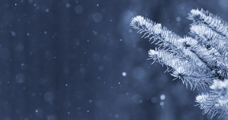 Falling Snowflakes Tumblr