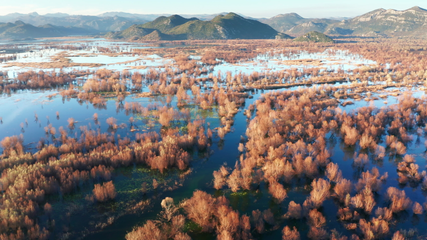 bare trees blue water swamp winter Stock Footage Video (100% Royalty ...