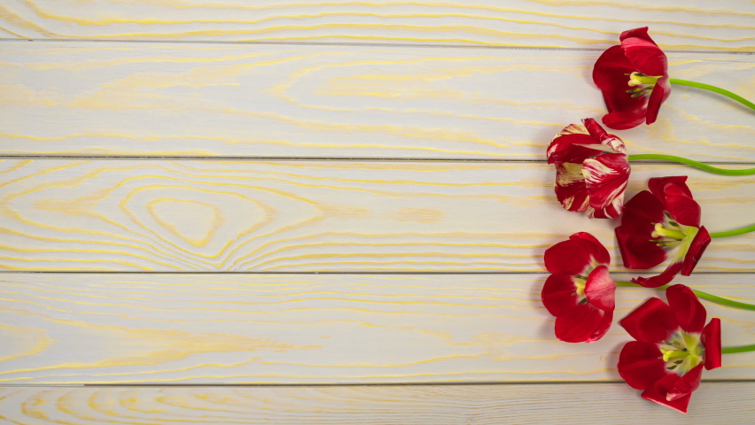 Table Top View Blossom Stock Video Footage - 4K and HD Video Clips ...