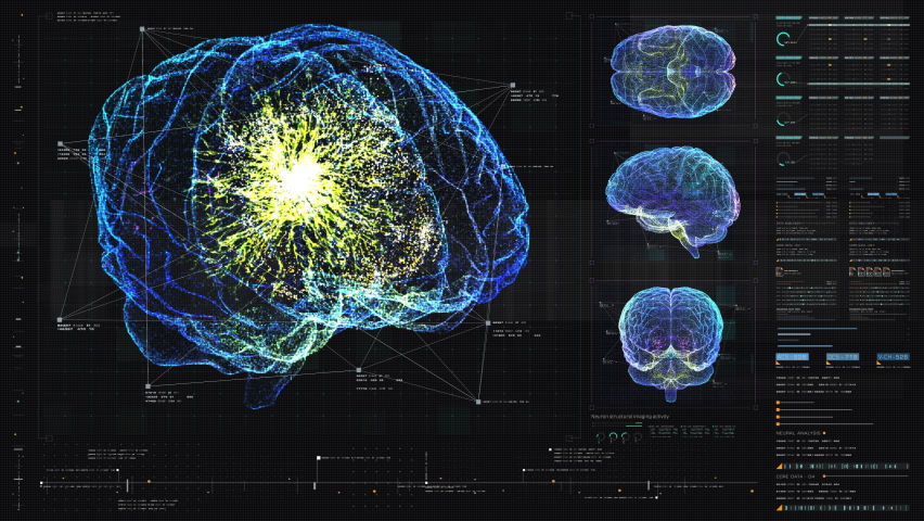 Brain maps Stock Video Footage - 4K and HD Video Clips | Shutterstock