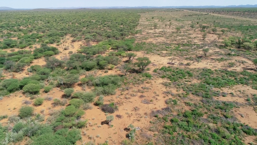 Bush encroachment Stock Video Footage - 4K and HD Video Clips ...