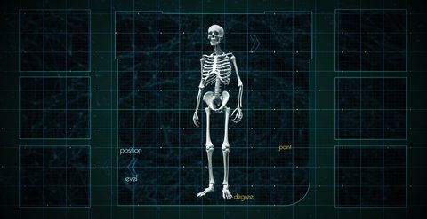 Digital Graphic Scan Human Spine Focus Stock Footage Video (100% ...