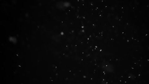 snow falling dense snowflakes snowstorm loop Stock Footage Video (100% ...