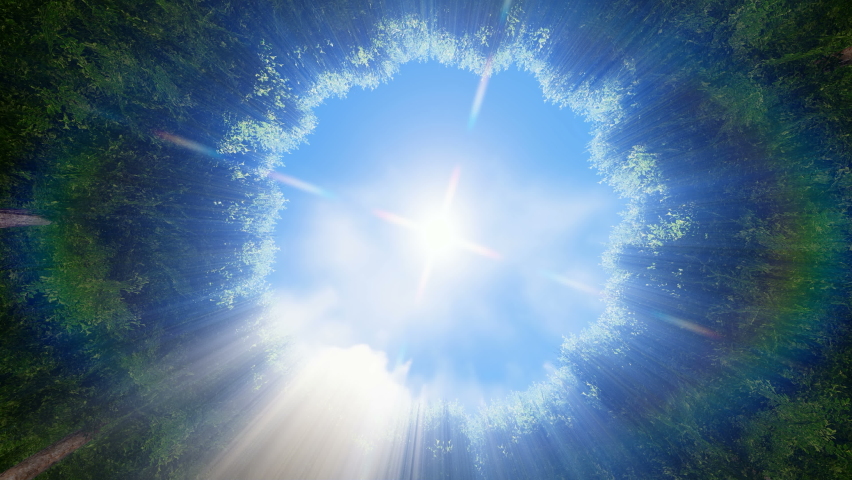 god rays through circle tree Stock Footage Video (100% Royalty-free ...