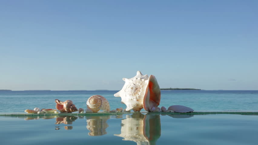 different shells on pool side front Stock Footage Video (100% Royalty ...