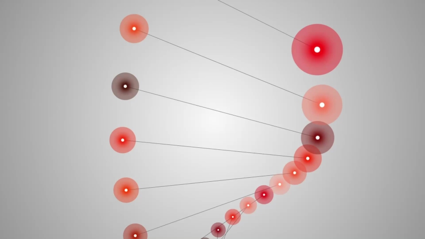 Life Evolution Infographic Stock Video Footage - 4K and HD Video Clips ...