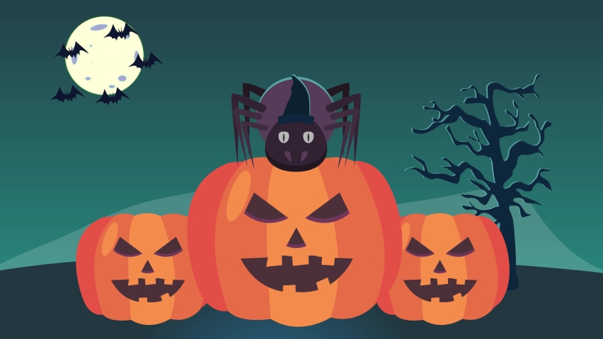 Moonlight Spider Night Cemetery Stock Video Footage - 4K and HD Video ...