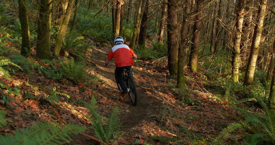 38 Bumpy bike trail Stock Video Footage - 4K and HD Video Clips ...