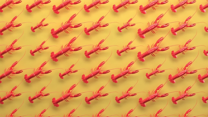 Crawfish Stock Video Footage | Royalty Free Crawfish Videos | Pond5