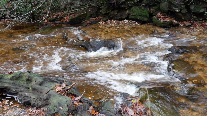 Rushing river flowing through the forest image - Free stock photo ...