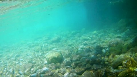 Pebble Falling Into Water Slowly Falling Stock Footage Video (100% ...