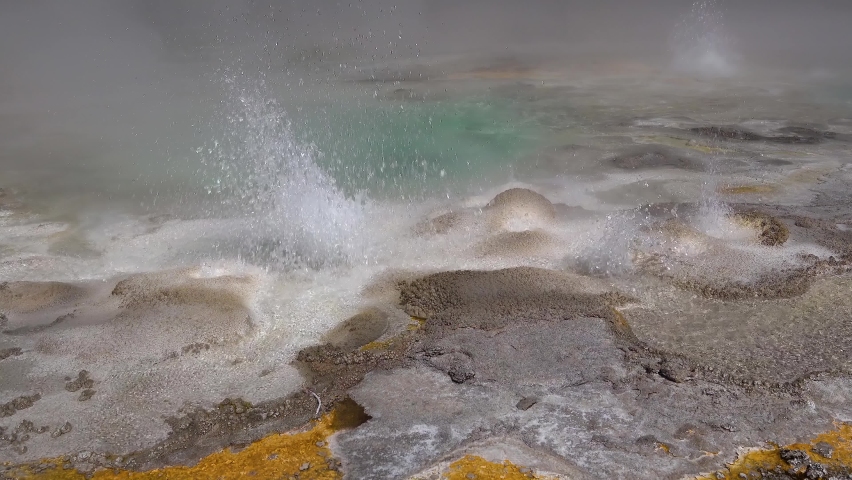 Bacterial pool Stock Video Footage - 4K and HD Video Clips | Shutterstock