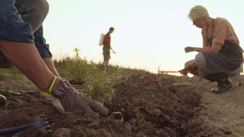 Close Male Hands Touching Dry Ground Stock Footage Video (100% Royalty ...