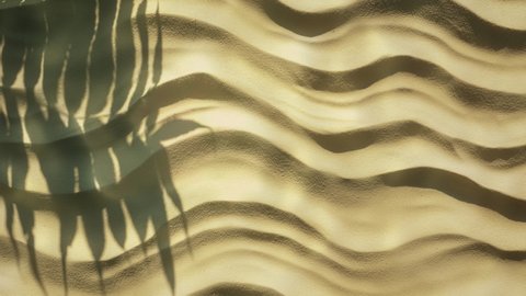 Palm Shadow On Underwater Sand Seabed Stock Footage Video (100% Royalty ...