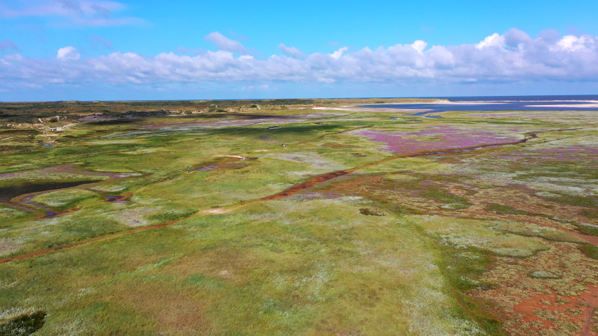 Texel Stock Video Footage - 4K and HD Video Clips | Shutterstock