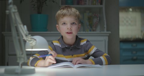 Preschool Kid Talking Looking Camera Webcam Stock Footage Video (100% ...