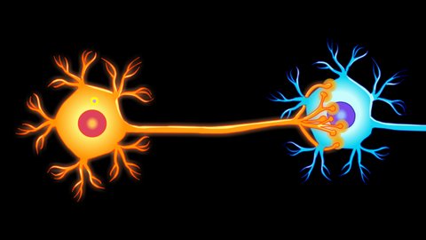 32 Myelin sheath Stock Video Footage - 4K and HD Video Clips | Shutterstock