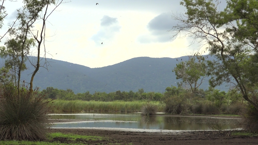 Bog Types Stock Video Footage - 4K and HD Video Clips | Shutterstock