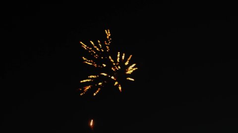 Small Fireworks Display Lights Night Sky Stock Footage Video (100% ...