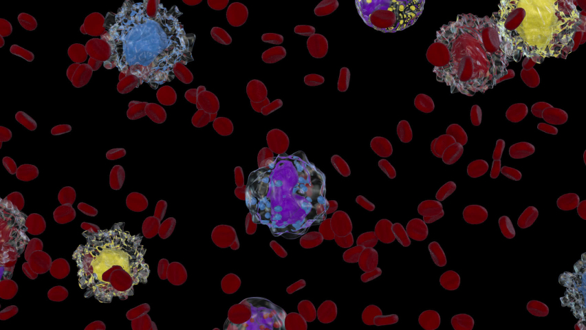 Monocyte Cell Stock Video Footage - 4K and HD Video Clips | Shutterstock